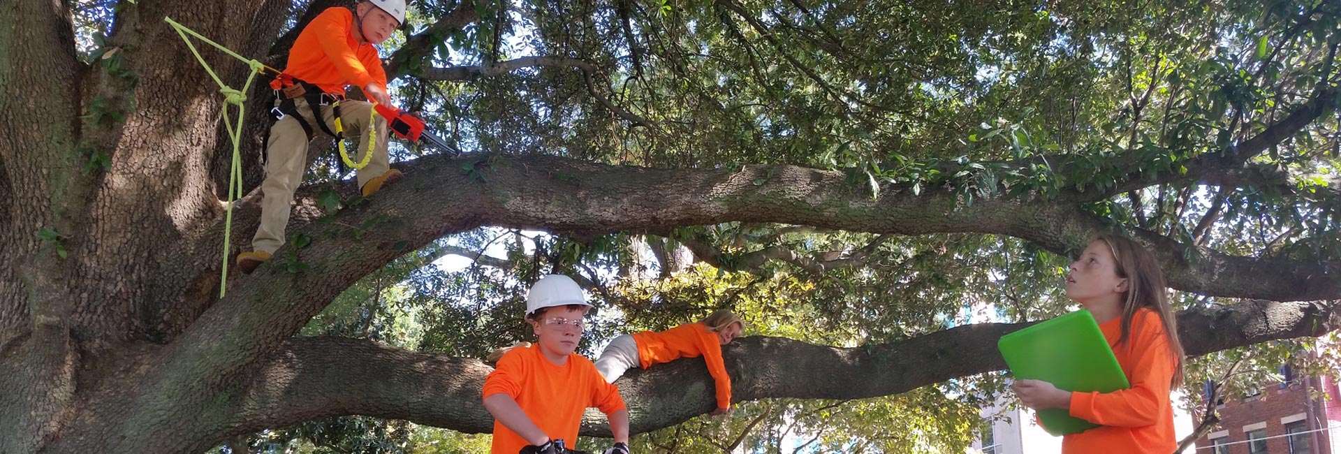 Raleigh-Tree-Care - Arbormax Tree Service