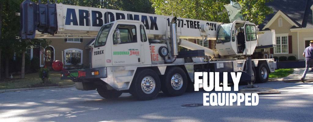 Raleigh Tree Service | Tree Removal Service Raleigh | Tree Cutting ...