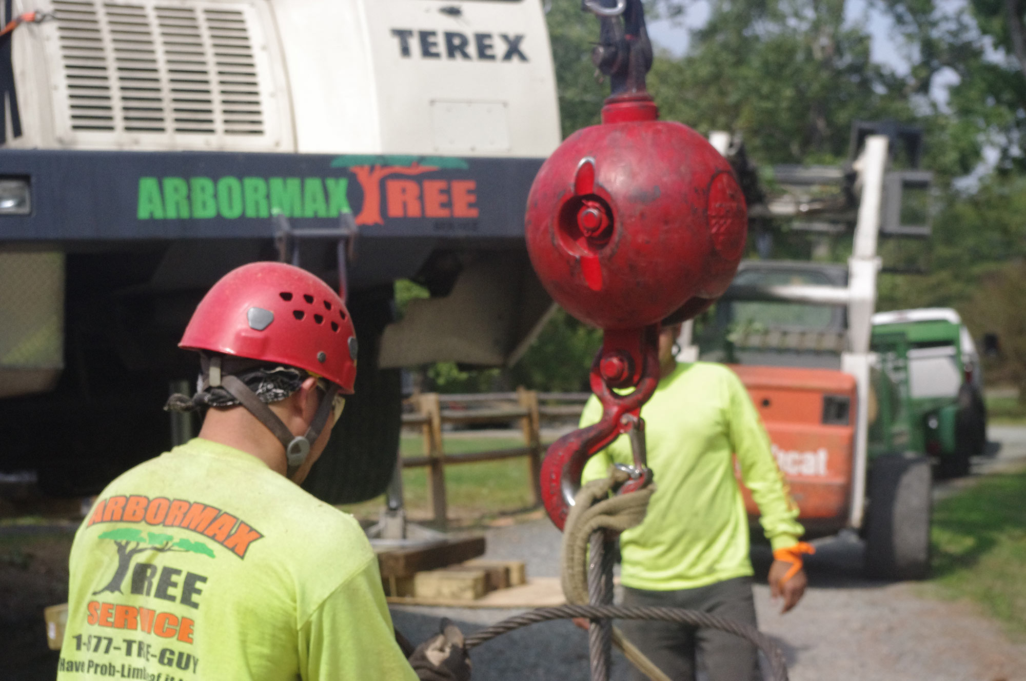 Crane Assisted Tree Removal - Arbormax Tree Service