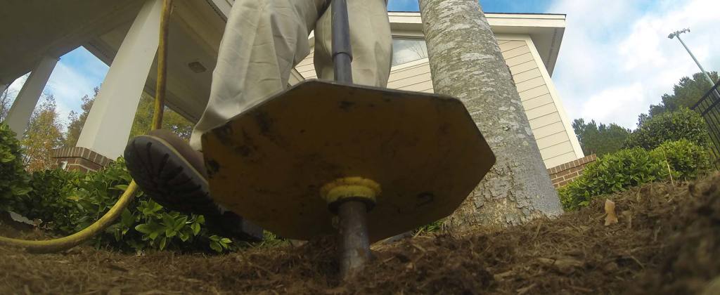 Deep Root Tree Fertilization - Arbormax Tree Service