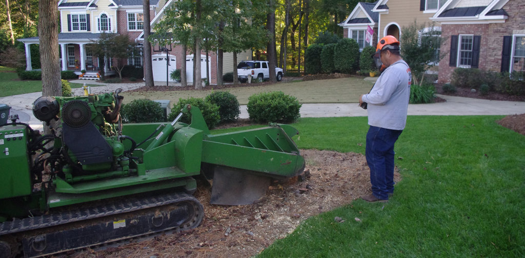 Stump Grinding - Arbormax Tree Service