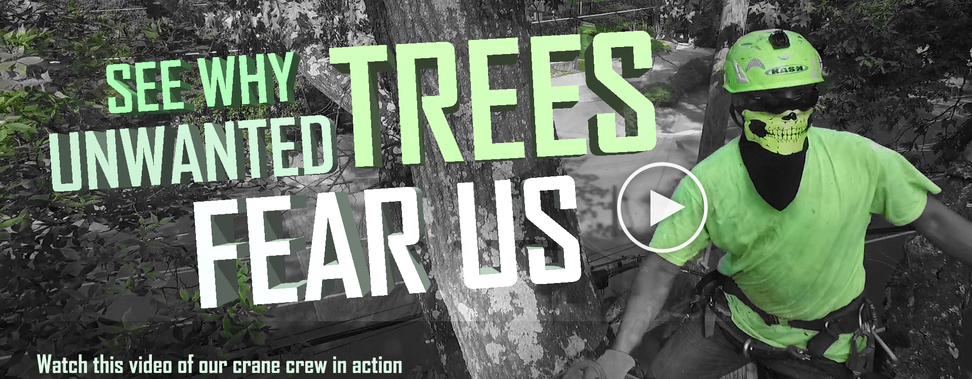 SEE WHY unwanted trees fear us - Arbormax Tree Service