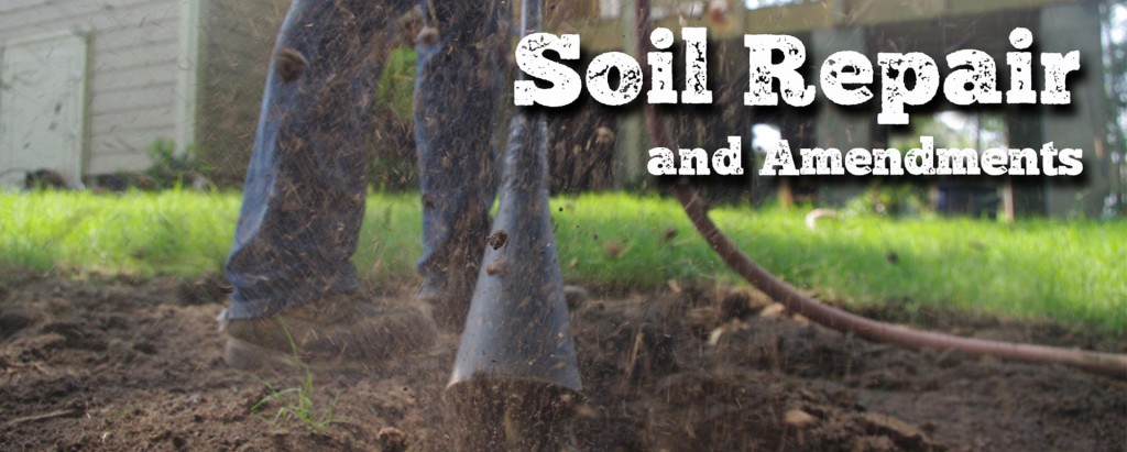 Soil Repair and Amendments Raleigh - Arbormax Tree Service